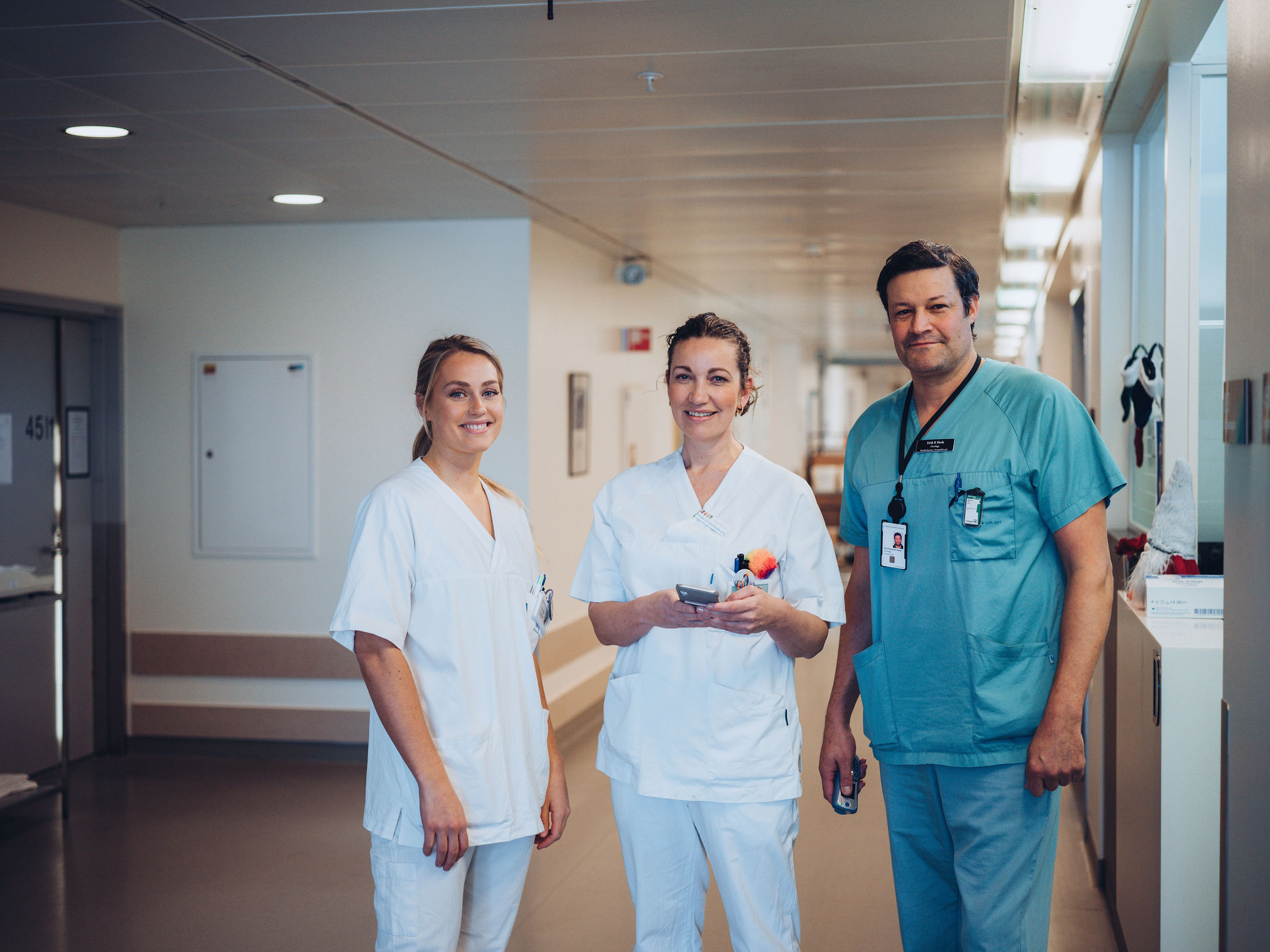 DIPS Arena - Journalsystem